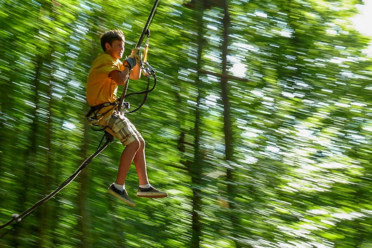 Adventure Park - Rhinefallstravel